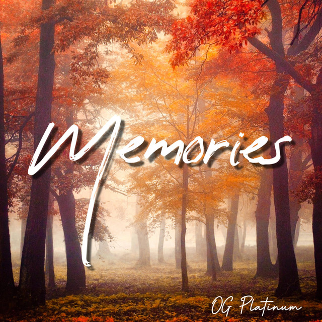 Memories - Single by OG Platinum | Spotify