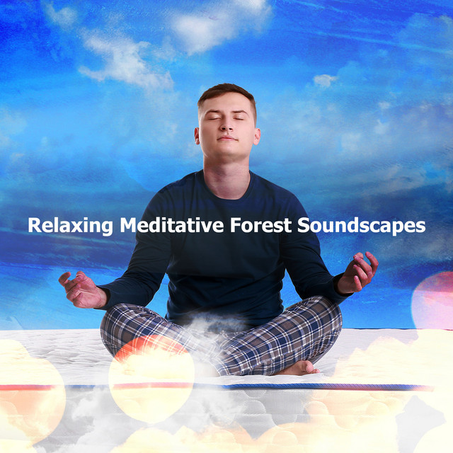 Relaxing Meditative Forest Soundscapes - Album by Relax Meditation ...