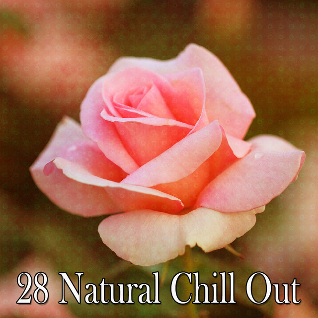 28 Natural Chill Out - Album by Pro Sound Effects Library | Spotify