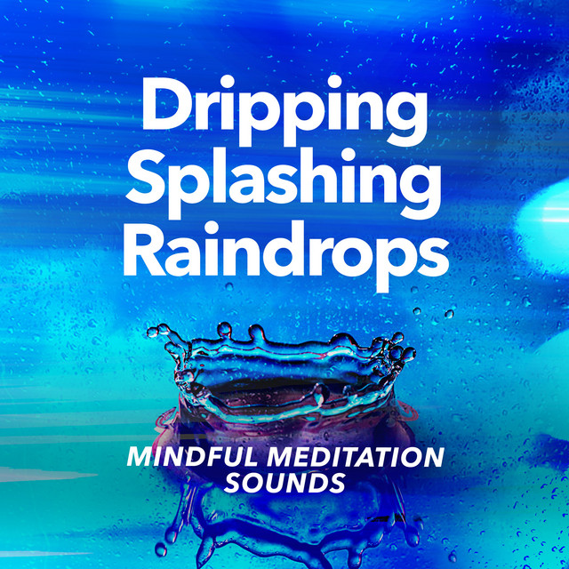 Dripping Splashing Raindrops - Mindful Meditation Sounds - Album by ...