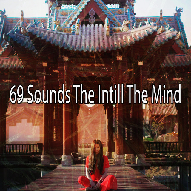 69 Sounds The Intill The Mind - Album by Zen Music Garden | Spotify