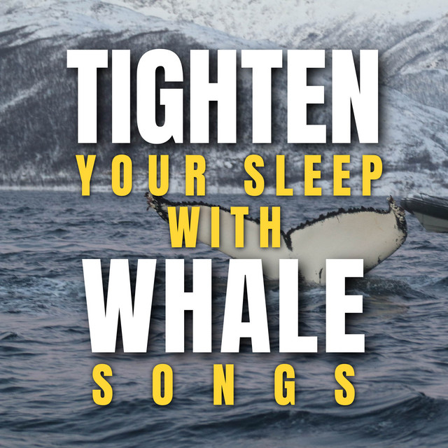Singing Whale Song - song and lyrics by Whale Sounds, Nature Sounds ...