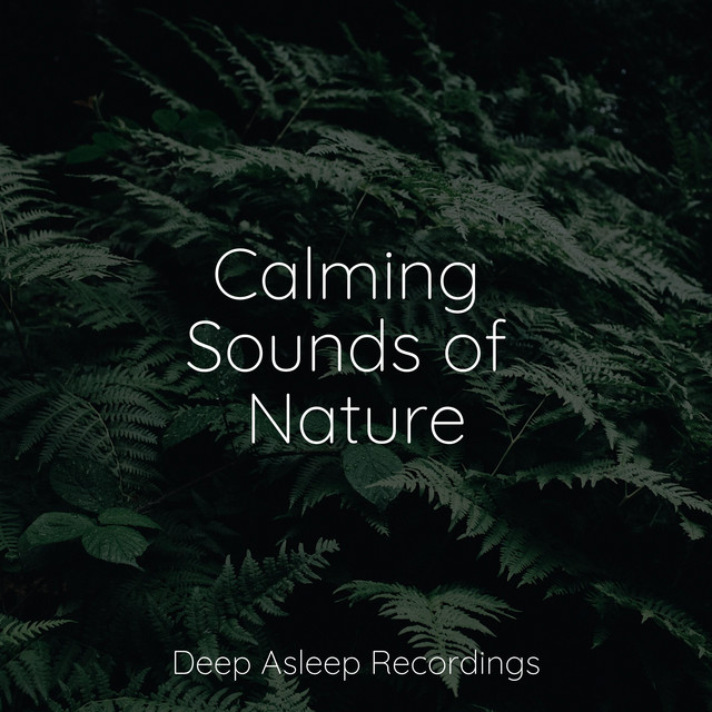 Calm Whispers - song and lyrics by Zen Meditate, Soothing Chill Out for ...