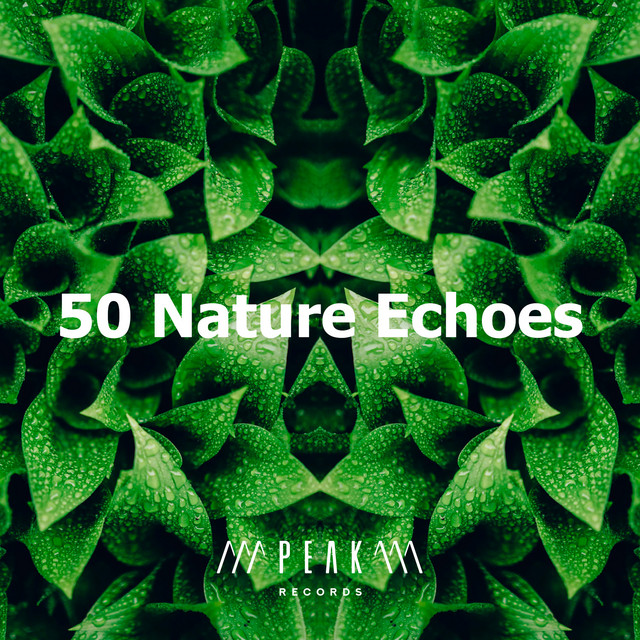 50 Nature Echoes – Album de Echoes Of Nature | Spotify