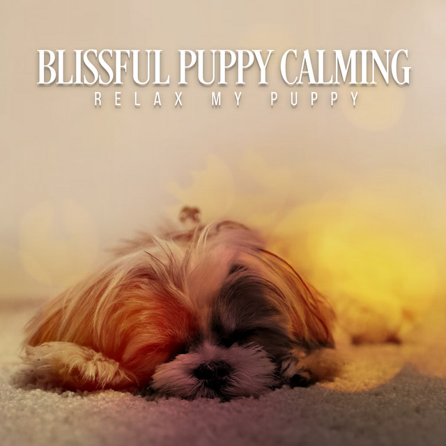 Blissful Puppy Calming - Album by Relax My Puppy | Spotify