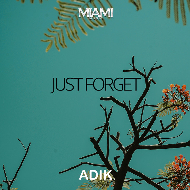 Just Forget - song and lyrics by Adik | Spotify