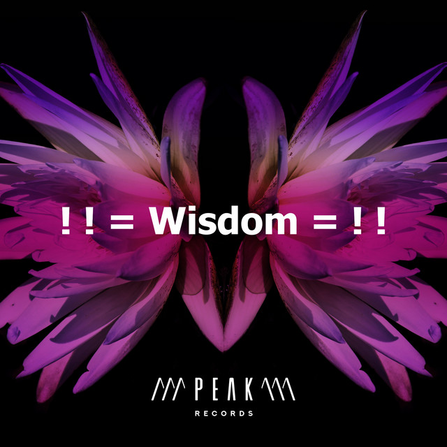 Wisdom = ! ! - Album by Buddhist Meditation Music Set | Spotify