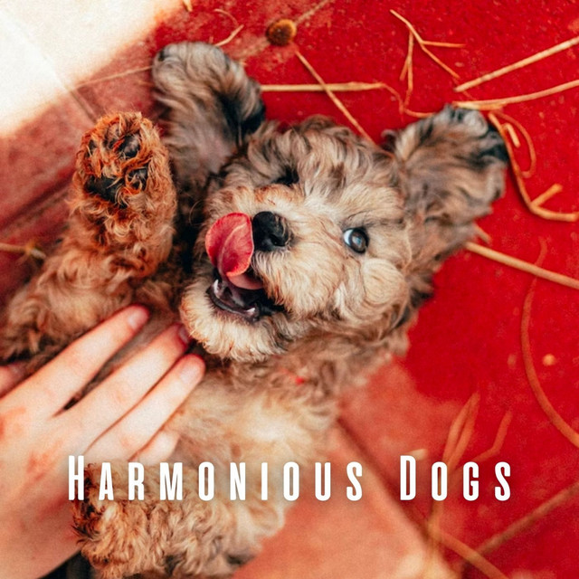 Harmonious Dogs: Oceanic Theta Waves with Binaural Tones - Album by Non ...
