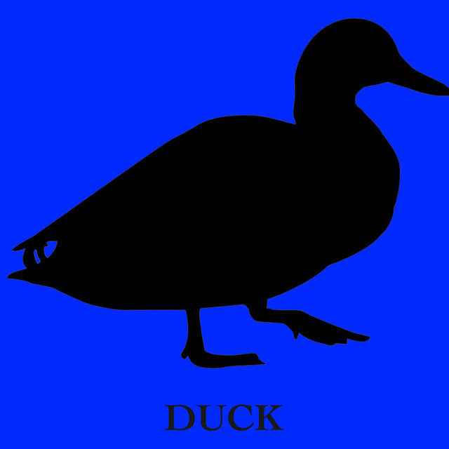 Duck (VIP Edit) - Single by DOOMSKI | Spotify
