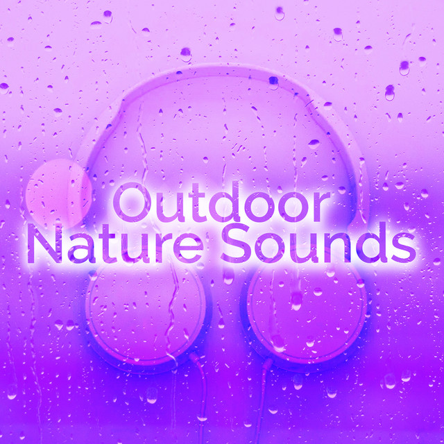 Raindrops Falling - song and lyrics by Nature Sounds Fx Collective ...