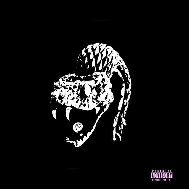 Champagne - song and lyrics by Rob Da Builder | Spotify