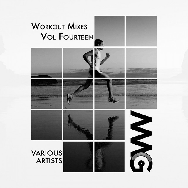 Ignited - Workout Mix 4 - song and lyrics by Brasseur | Spotify