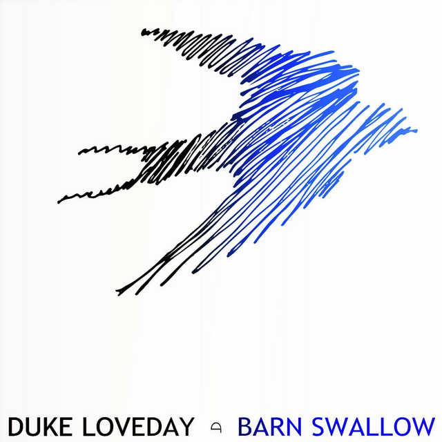 Barn Swallow - song and lyrics by Duke Loveday | Spotify