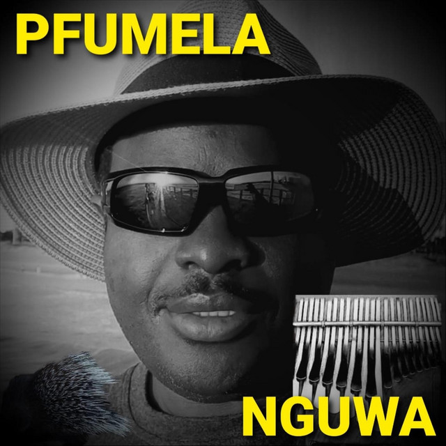 Nguwa - Single by Pfumela | Spotify