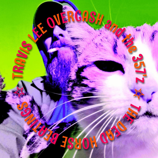 Travis Lee Overcash and the 357'z | Spotify