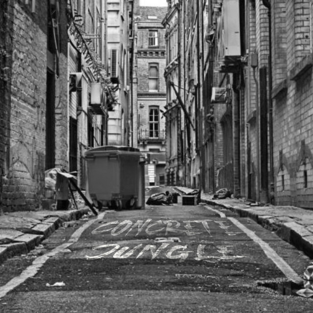 Concrete Jungle. (Radio Edit) - Single by Alphamale. | Spotify