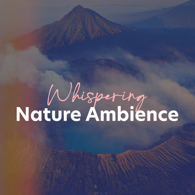 Whispering Nature Ambience ! ! ! ! ! ! - Album by Night Sounds | Spotify