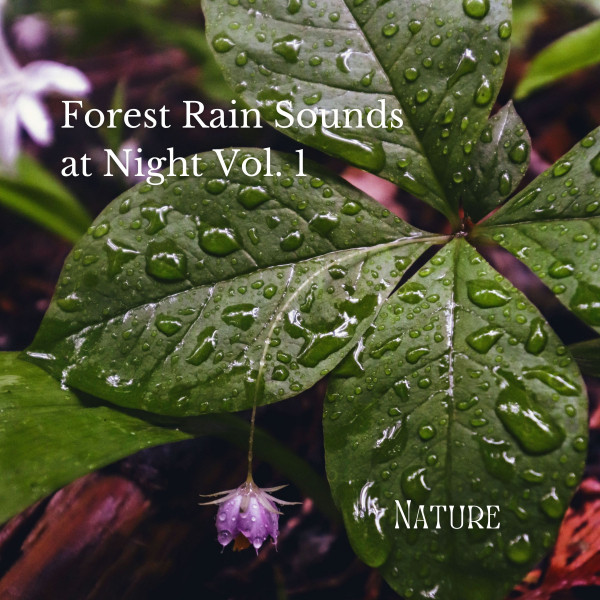 Freezing Evening Sleet - song and lyrics by Slow Sex Music ...