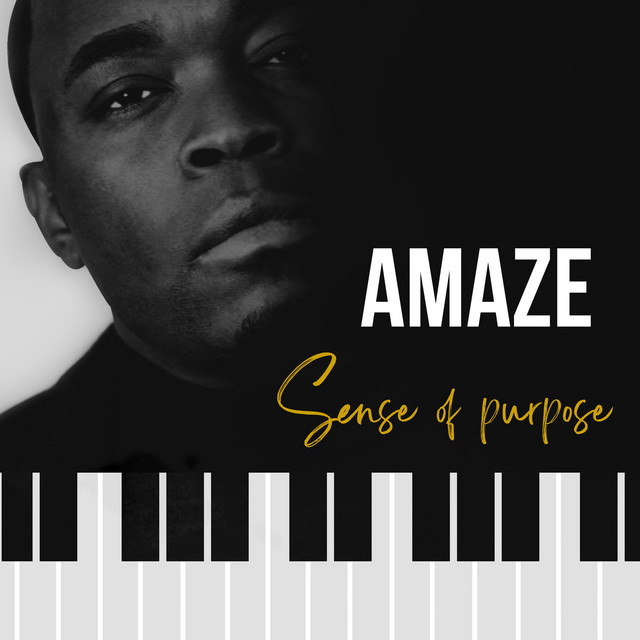 Sense of purpose - Single by Amaze | Spotify