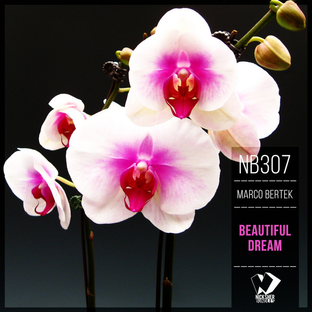 Beautiful Dream - Single by Marco Bertek | Spotify