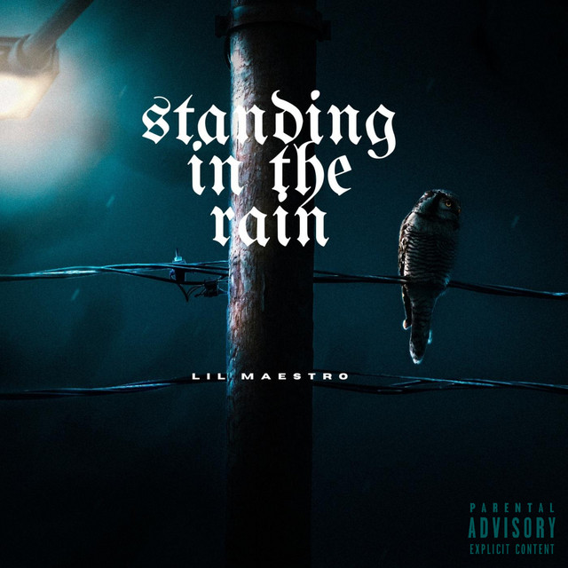 Standing in the Rain - Single by Lil Maestro | Spotify