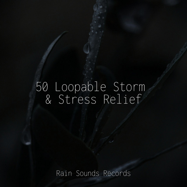 Echoes of a Storm - song and lyrics by Relajación, Naturaleza Sonidos ...