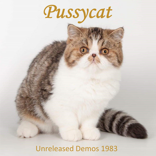 Unreleased Demos 1983 - Album by Pussycat | Spotify
