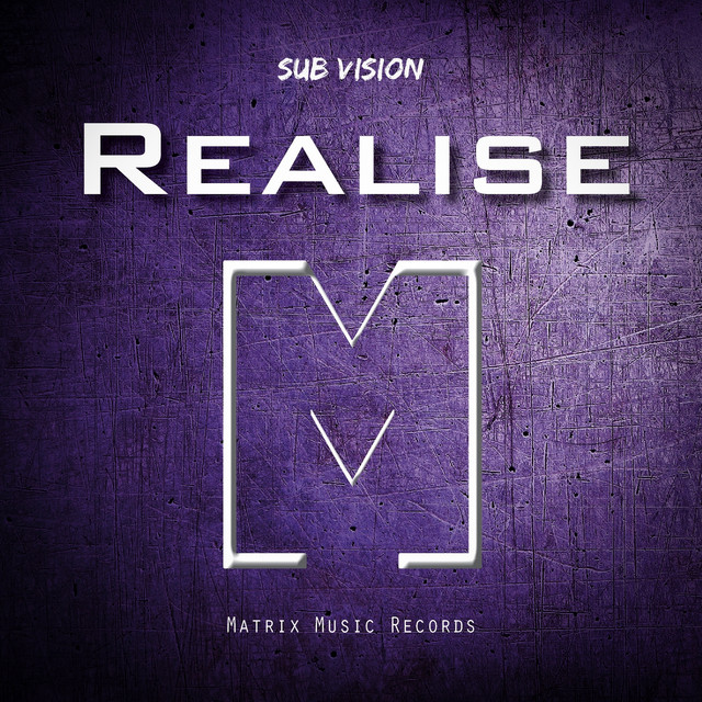 Realise - Single by Sub Vision | Spotify