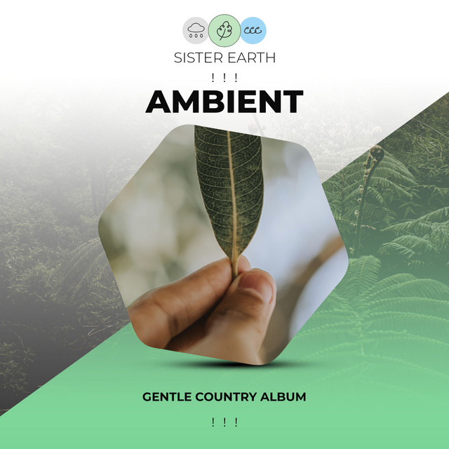 Gentle Ambient Country Album ! ! ! - Album by Sleep Sounds of Nature ...