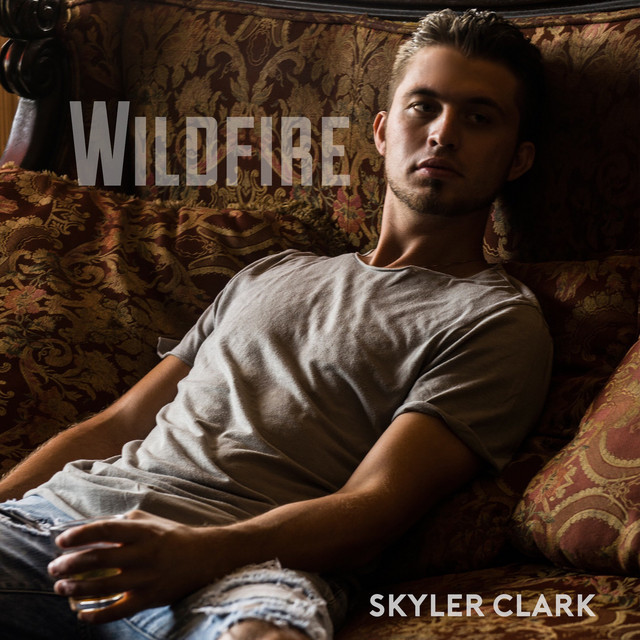 Wildfire - Single by Skyler Clark | Spotify