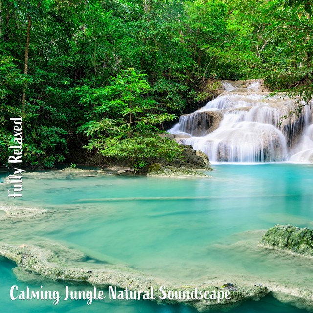 Fully Relaxed: Calming Jungle Natural Soundscape - Album by Steve ...