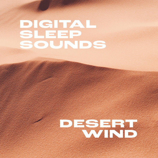 Desert Wind - Single by Digital Sleep Sounds | Spotify