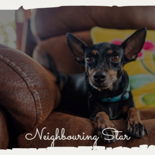 Neighbouring Star - song and lyrics by Anthony Alleeson | Spotify