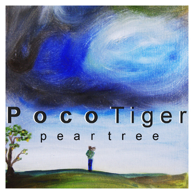 Poco Tiger Concert & Tour History | Concert Archives