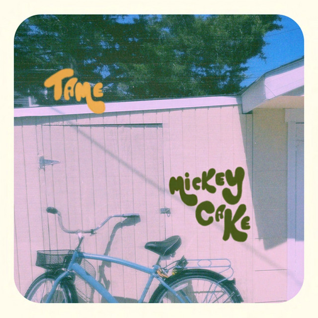 Tame - song by Mickey Cake | Spotify