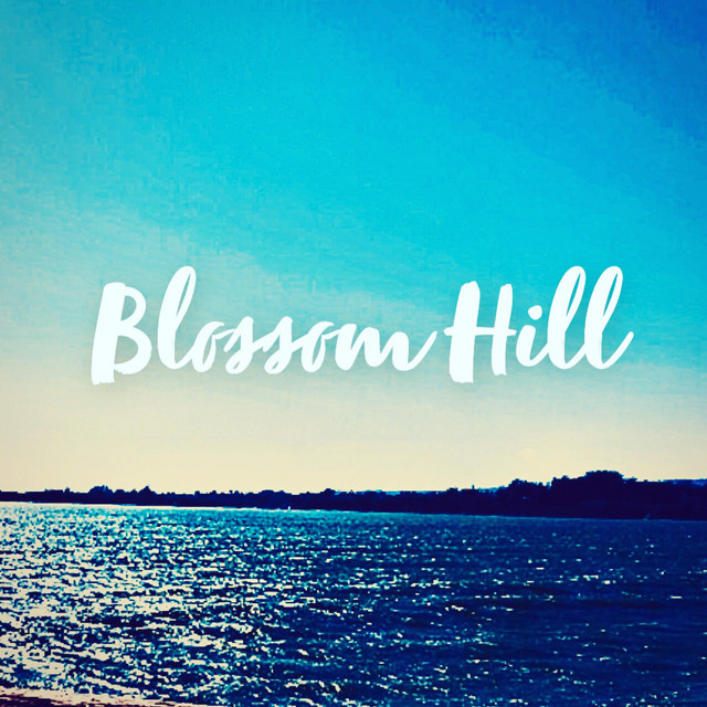 Blossom Hill - Single by Skyler Gregg | Spotify