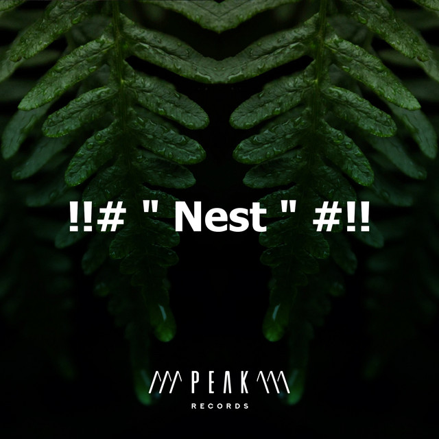 Nest " #!! - Album by Rest & Relax Nature Sounds Artists | Spotify