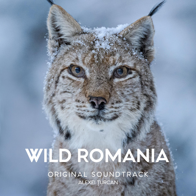 Wild Romania (Original Soundtrack) - Album by Alexei Turcan | Spotify