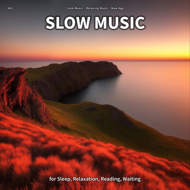 #01 Slow Music for Sleep, Relaxation, Reading, Waiting - Album by Calm ...