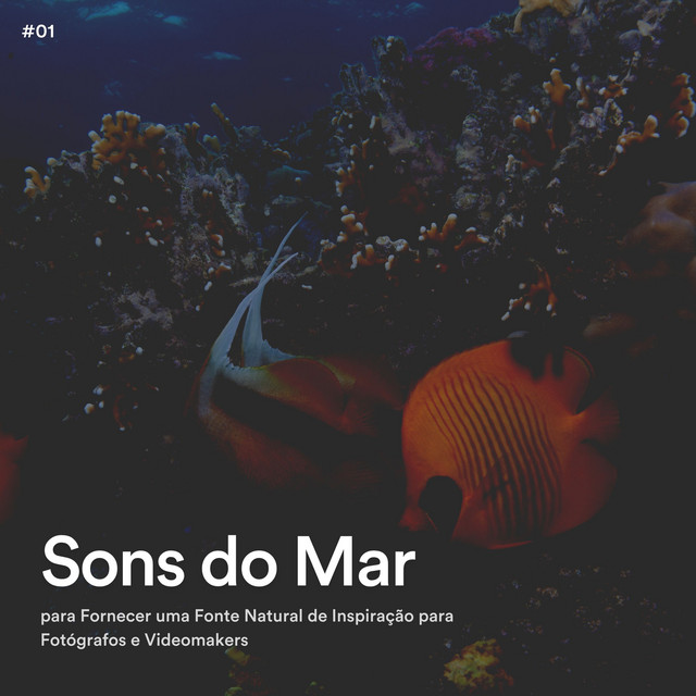 #01 Sons do Mar para Fornecer uma Fonte Natural de Inspiração para ...