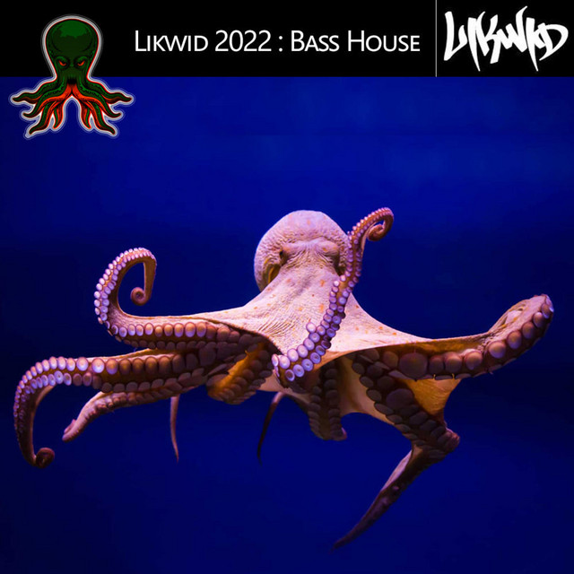 Likwid 2022 : Bass House - Album by DJ Likwid | Spotify