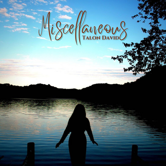 Miscellaneous - Album by Talon David | Spotify