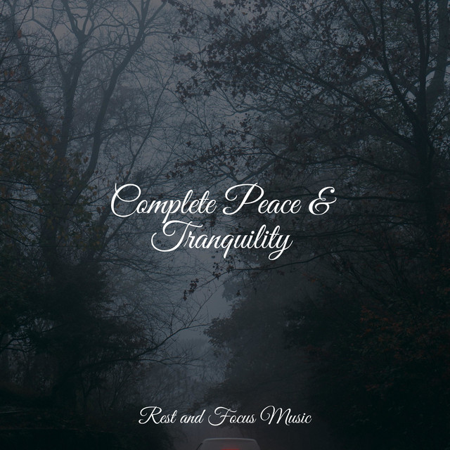 Complete Peace & Tranquility - Album by Massage Music | Spotify