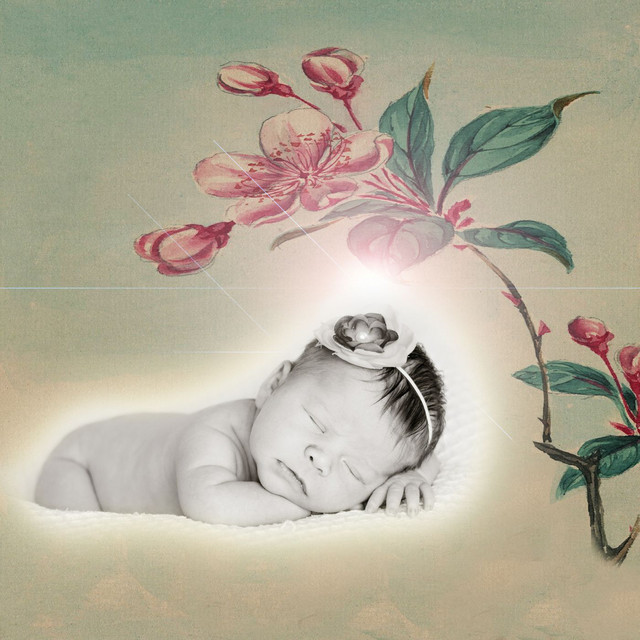 hushaby, Edelweiss's Canon Piano Lullaby Collection for a Little Peace ...