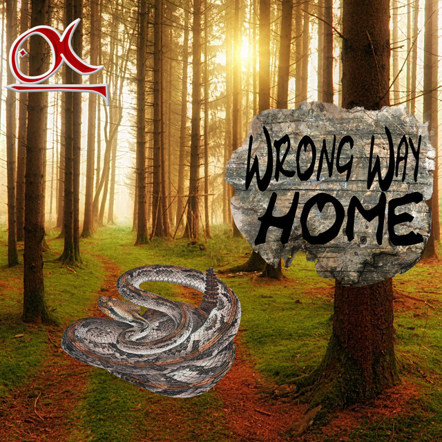 Wrong Way Home - Single by Mike Trout | Spotify
