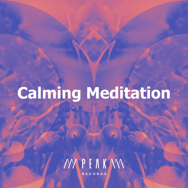 Calming Meditation - Album by Meditation Mike | Spotify
