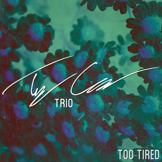 Too Tired - Single by Tyler Cochran Trio | Spotify