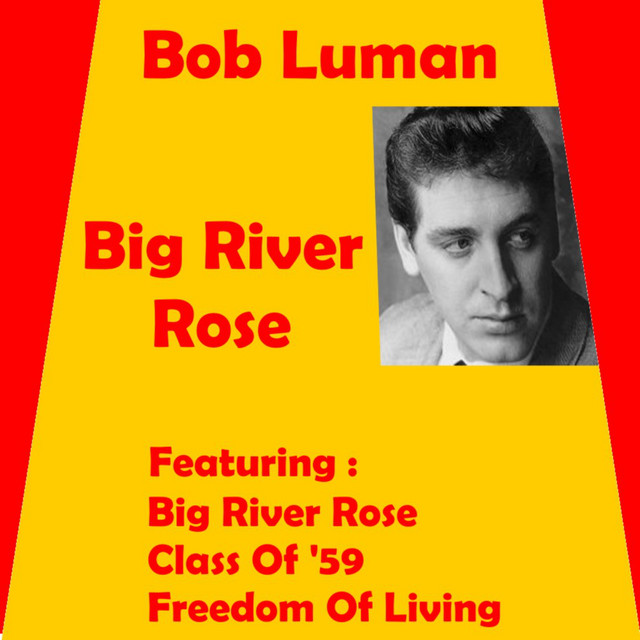 Why Why Bye Bye - song and lyrics by Bob Luman | Spotify