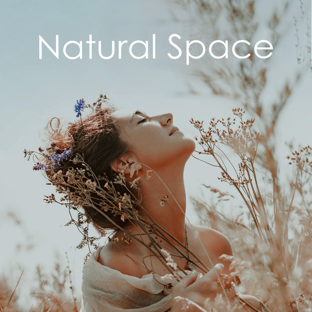 Natural Space: Bring the Sounds of Nature into Your Home and Just Relax ...