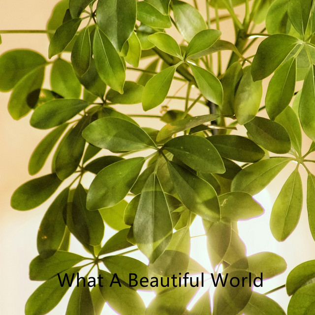 What a Beautiful World - Album by Marissa Rhodes | Spotify